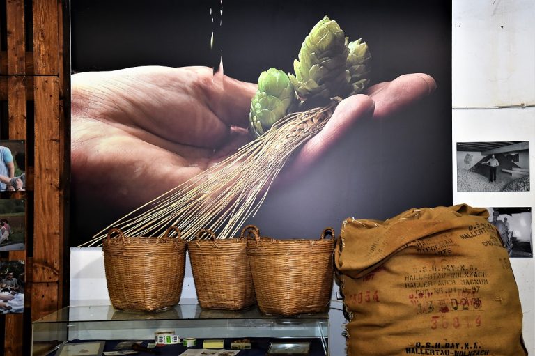 Hof Dick - Hopfen erleben in Holsthum - VerTRAVELt