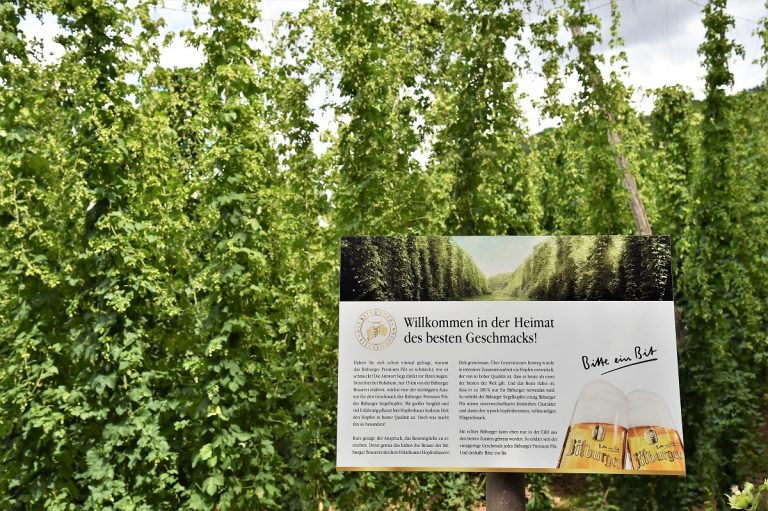 Hof Dick - Hopfen erleben in Holsthum - VerTRAVELt